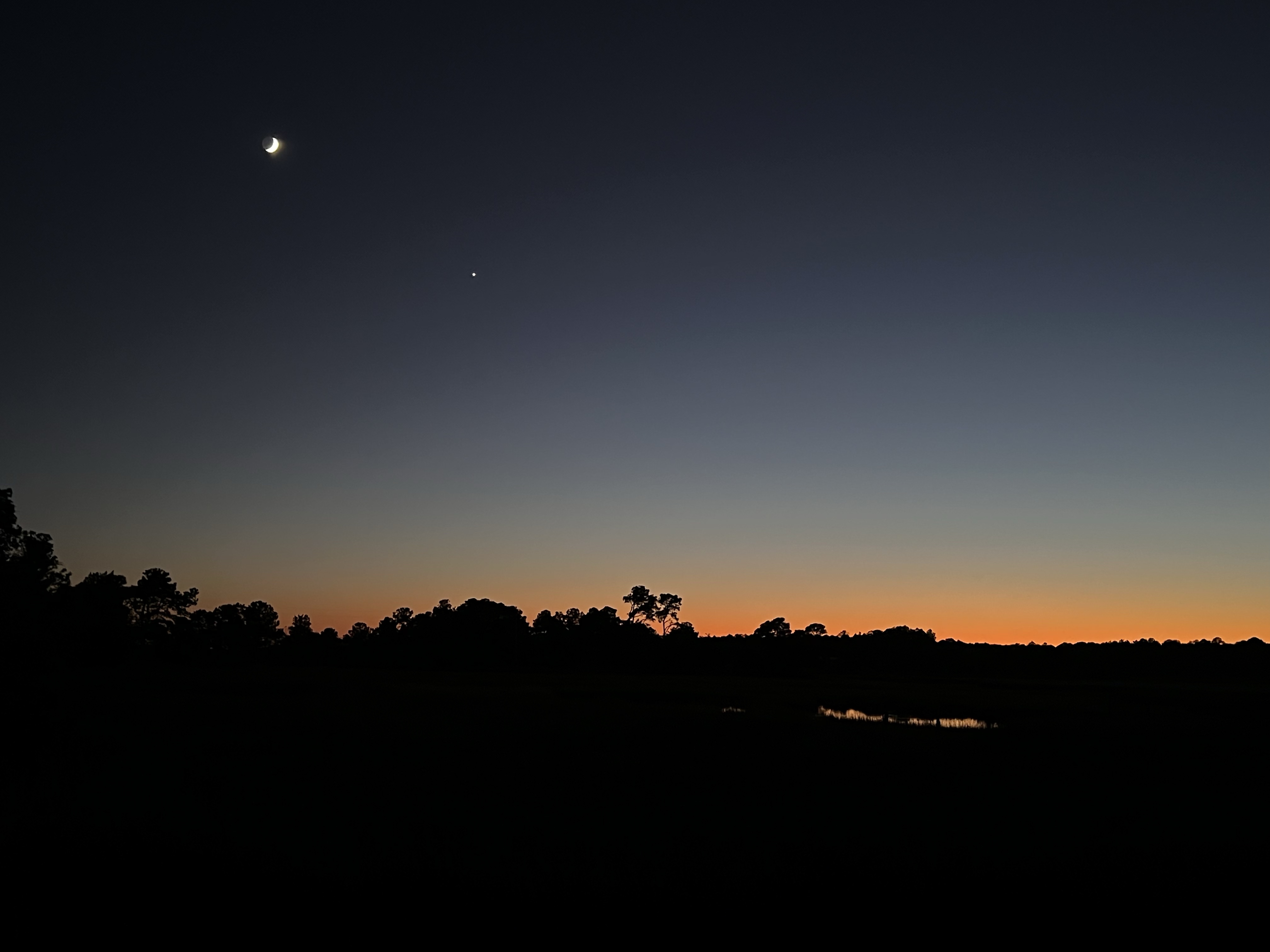 The Moon and the Yew Tree | Marginalia
