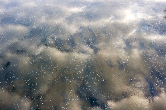 White Christmas | Marginalia