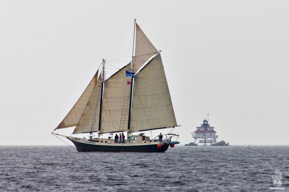 Schooner Race 2011 ~ The Race | Marginalia