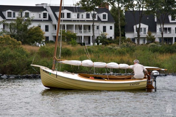 Marsh Cat For Sale (sold) | Marginalia