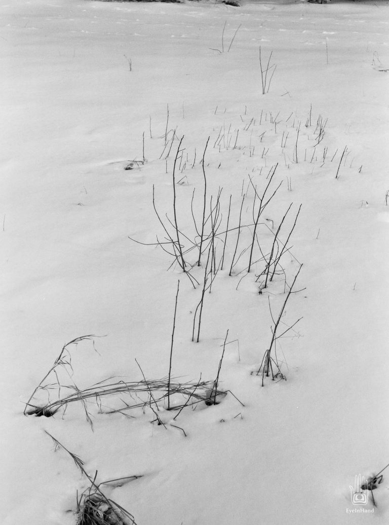 Marginalia | an infrequent repository of mostly new stuff