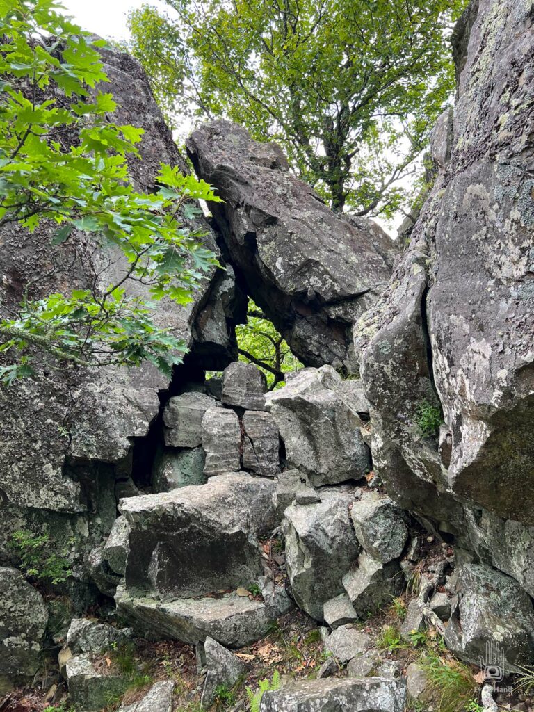 Marginalia | an infrequent repository of mostly new stuff