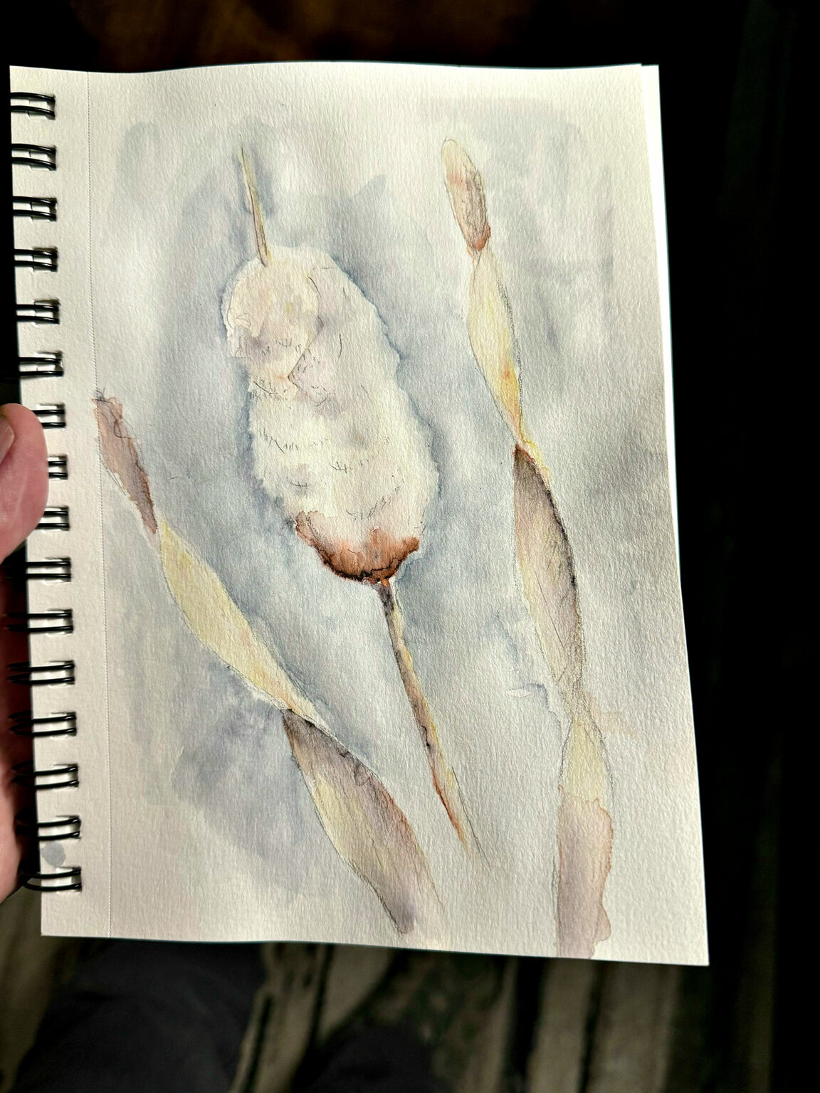 Marginalia | an infrequent repository of mostly new stuff