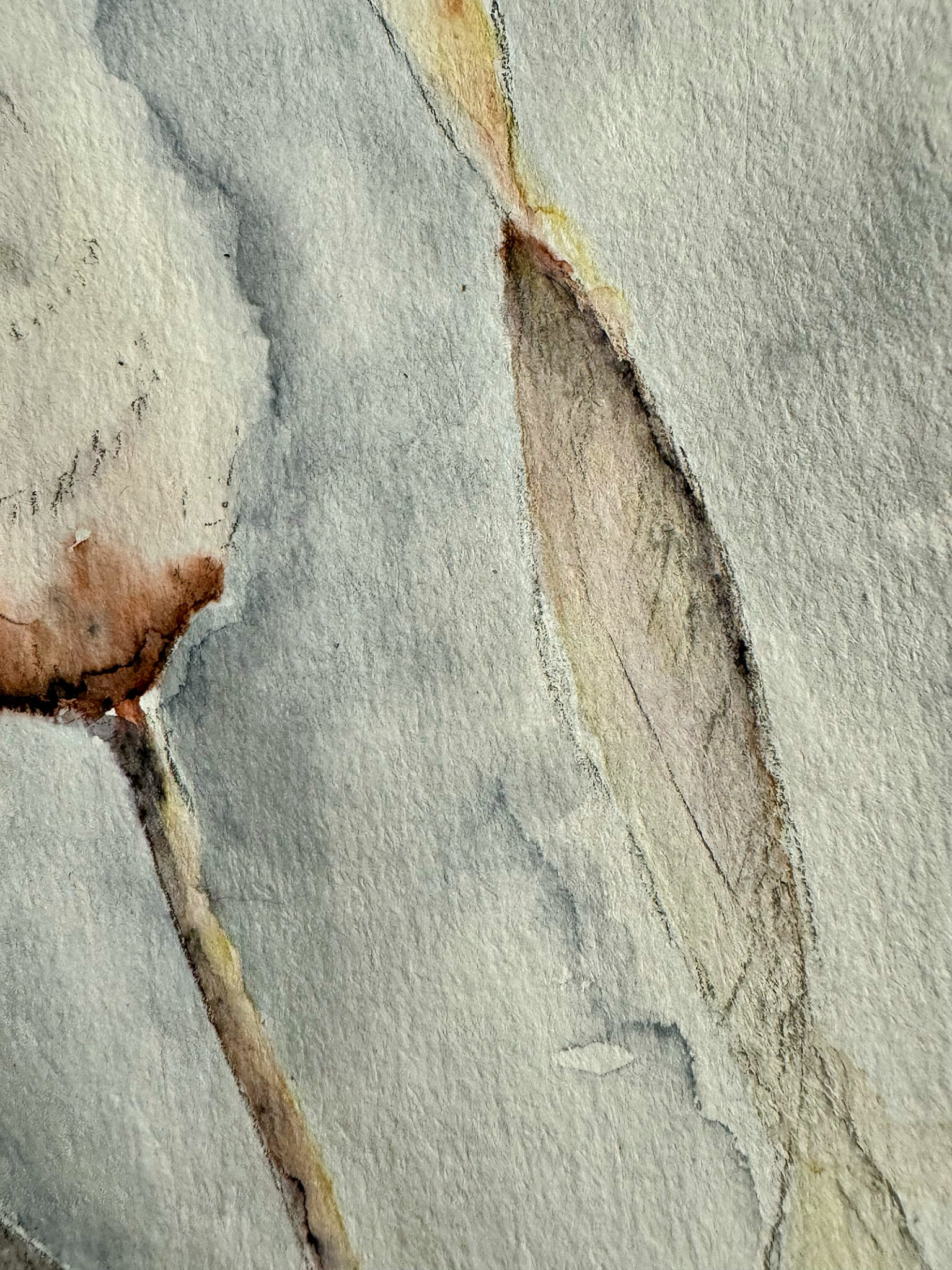 Marginalia | an infrequent repository of mostly new stuff