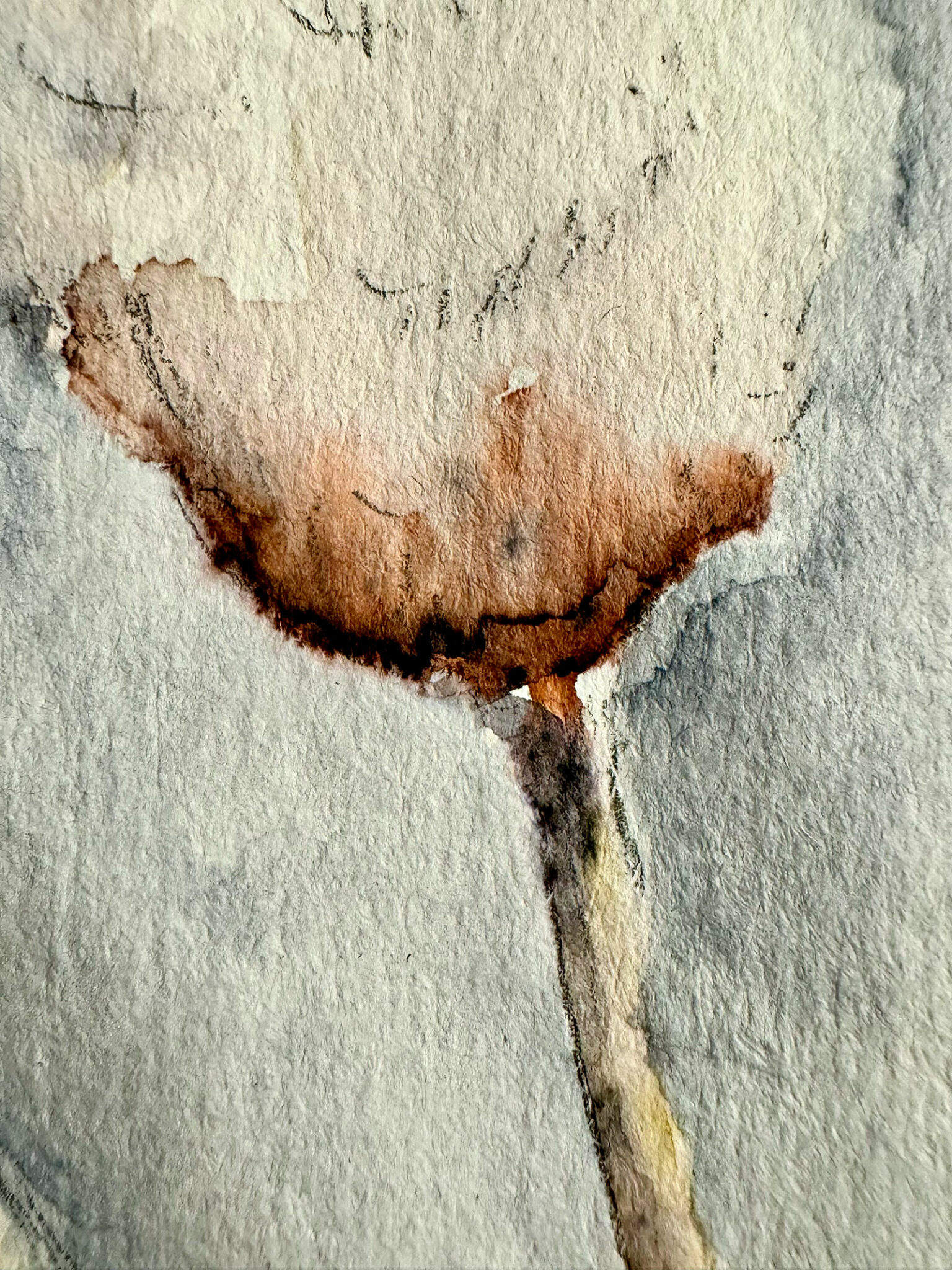 Marginalia | an infrequent repository of mostly new stuff