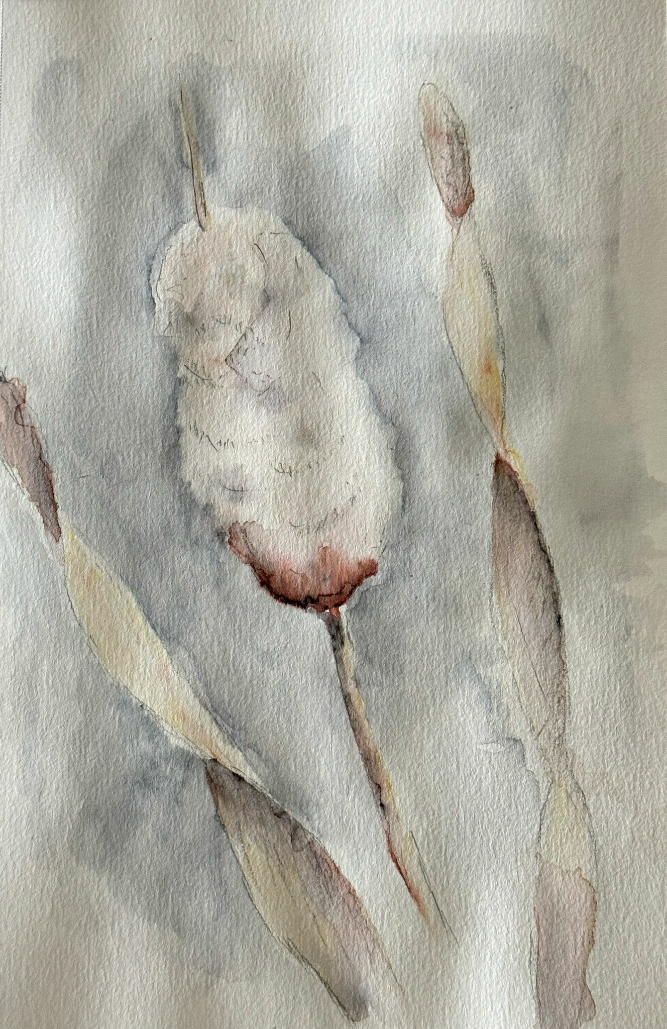 Marginalia | an infrequent repository of mostly new stuff